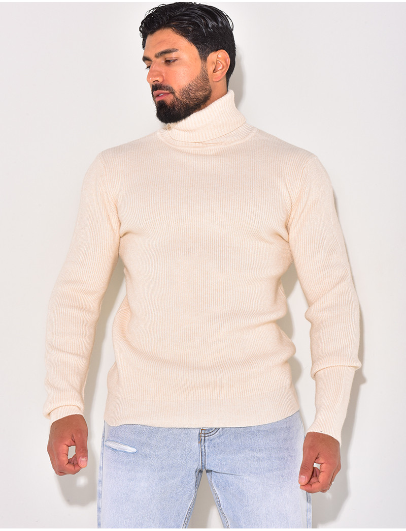 Pull col roulé basic